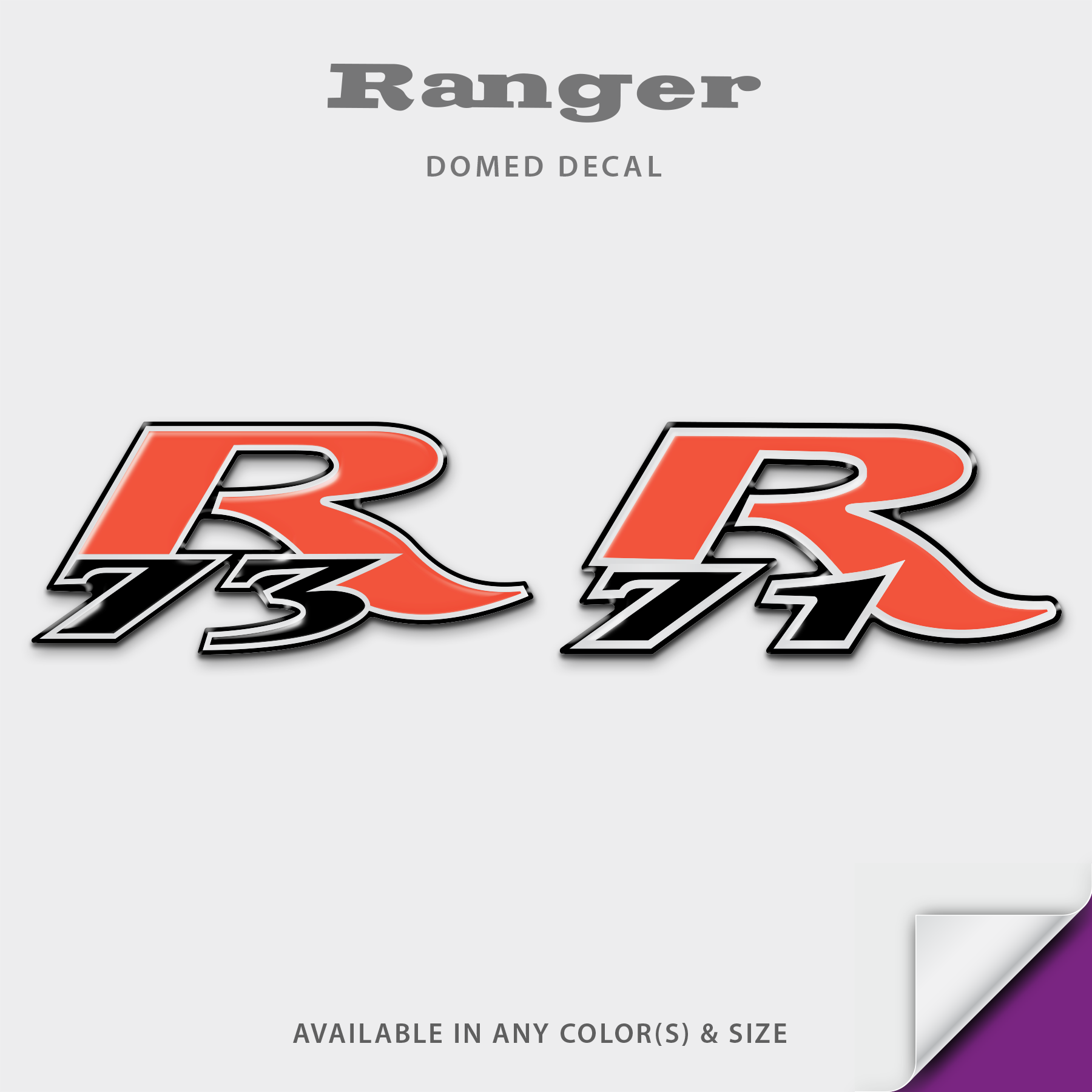 2000 Ranger R71 R73 Domed Model Decal – Domed Numbers